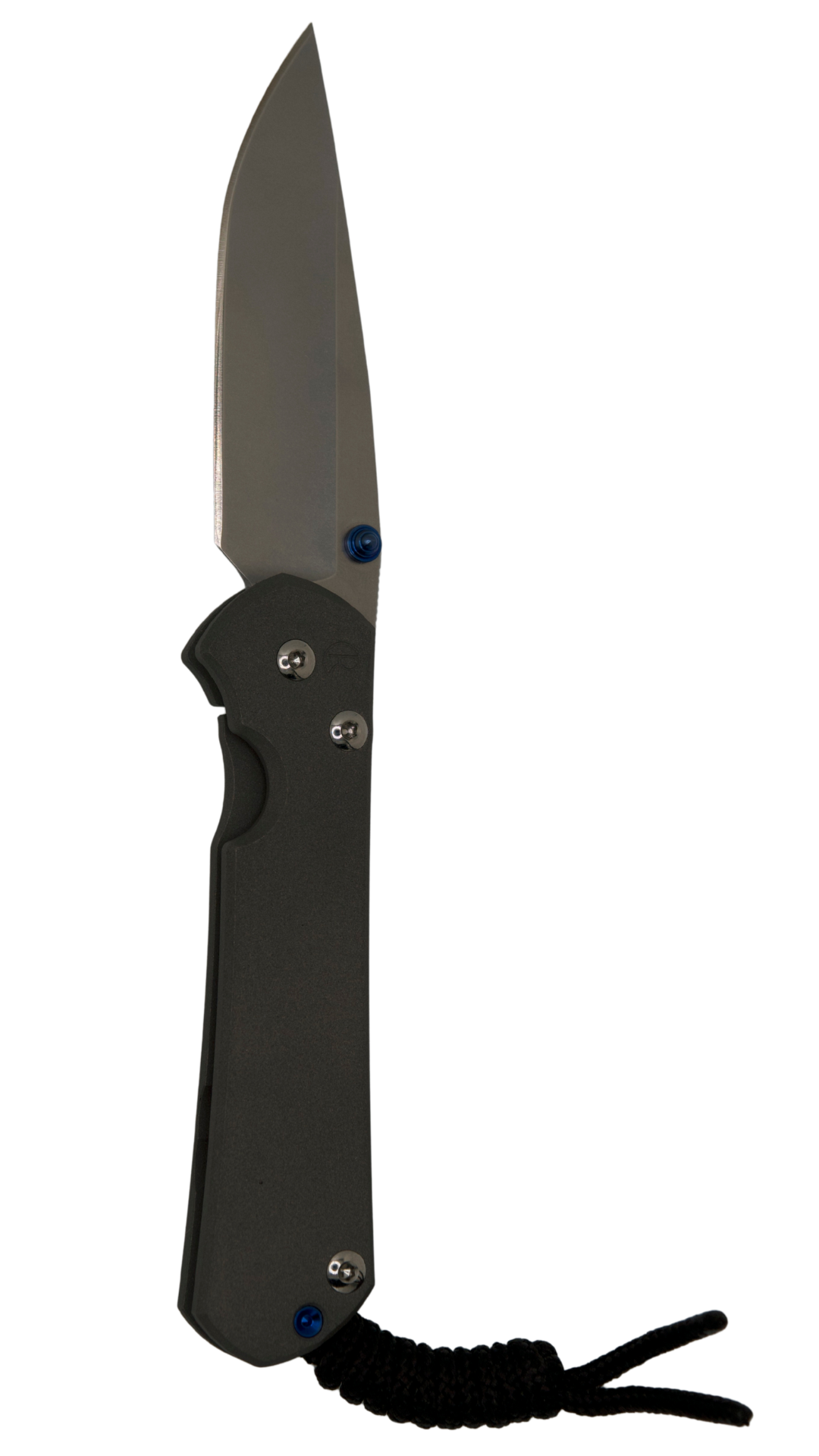 Chris Reeve Knives | Large Sebenza 31 | Plain Drop Point | L31-1000 - Claytons Range
